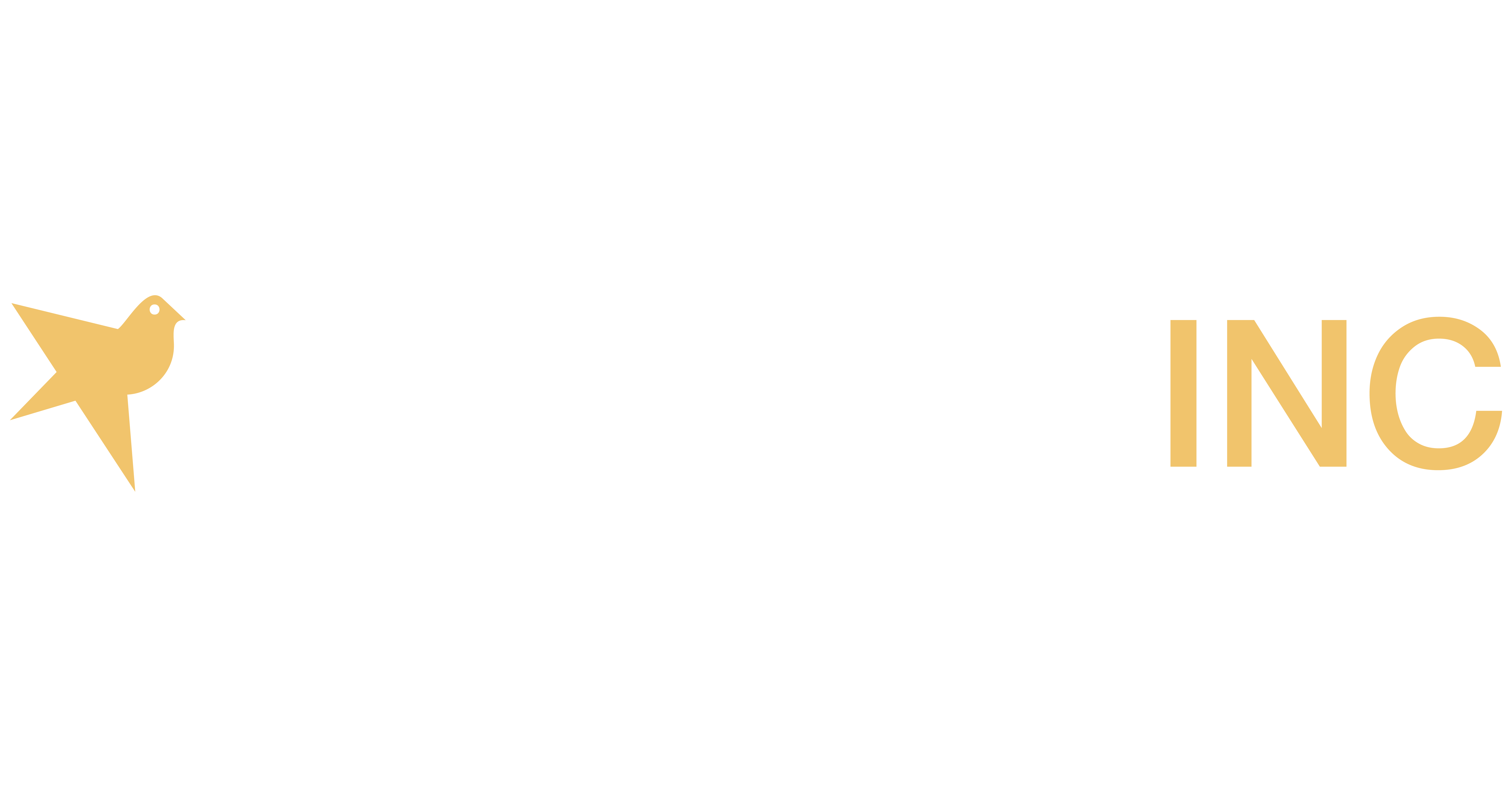 Parewa Inc. | AI-powered Software Company from Nepal